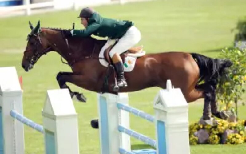 The Holsteiner Horse | Holsteiner-Verband