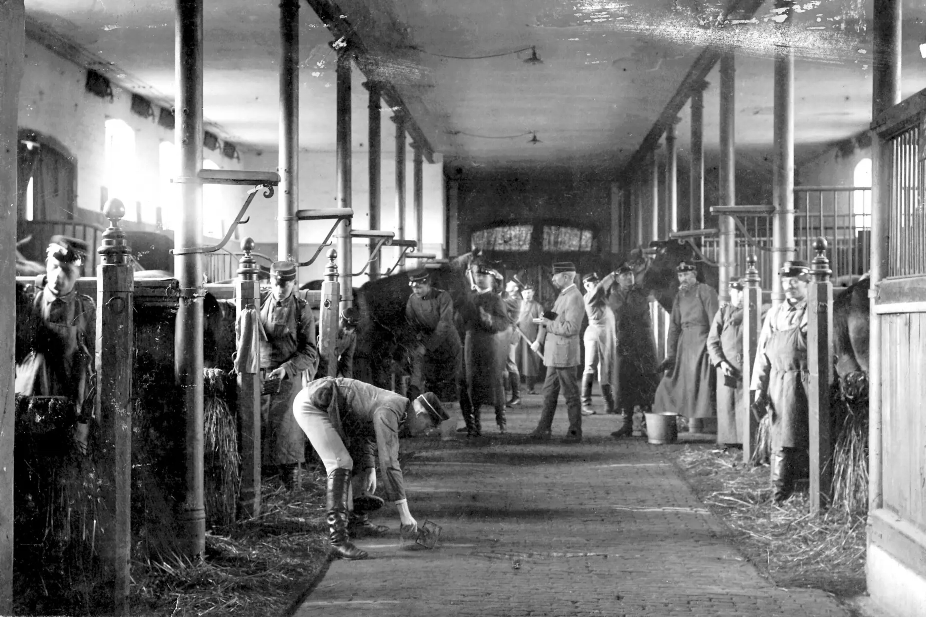 The History | Holsteiner-Verband