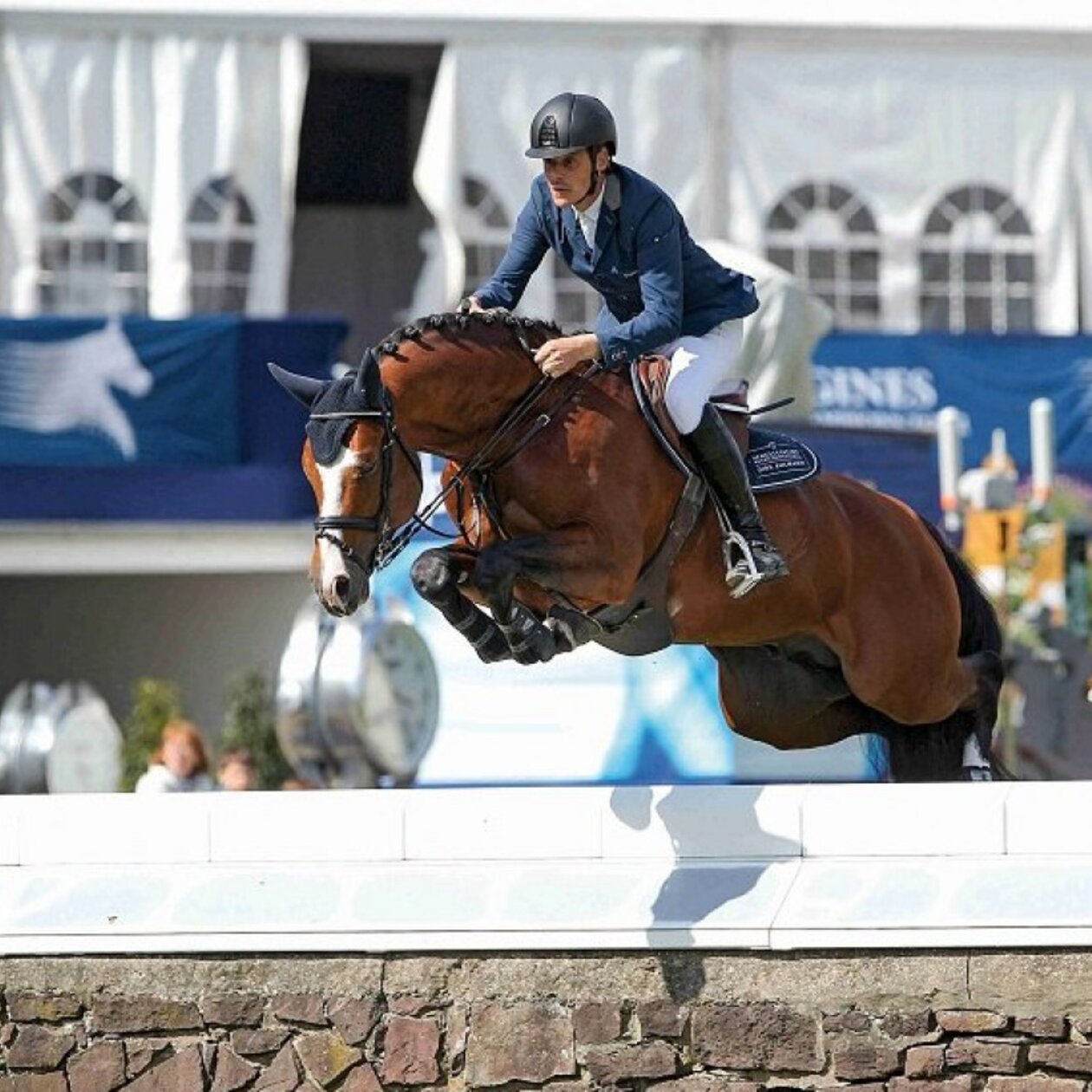 Home | Holsteiner-Verband