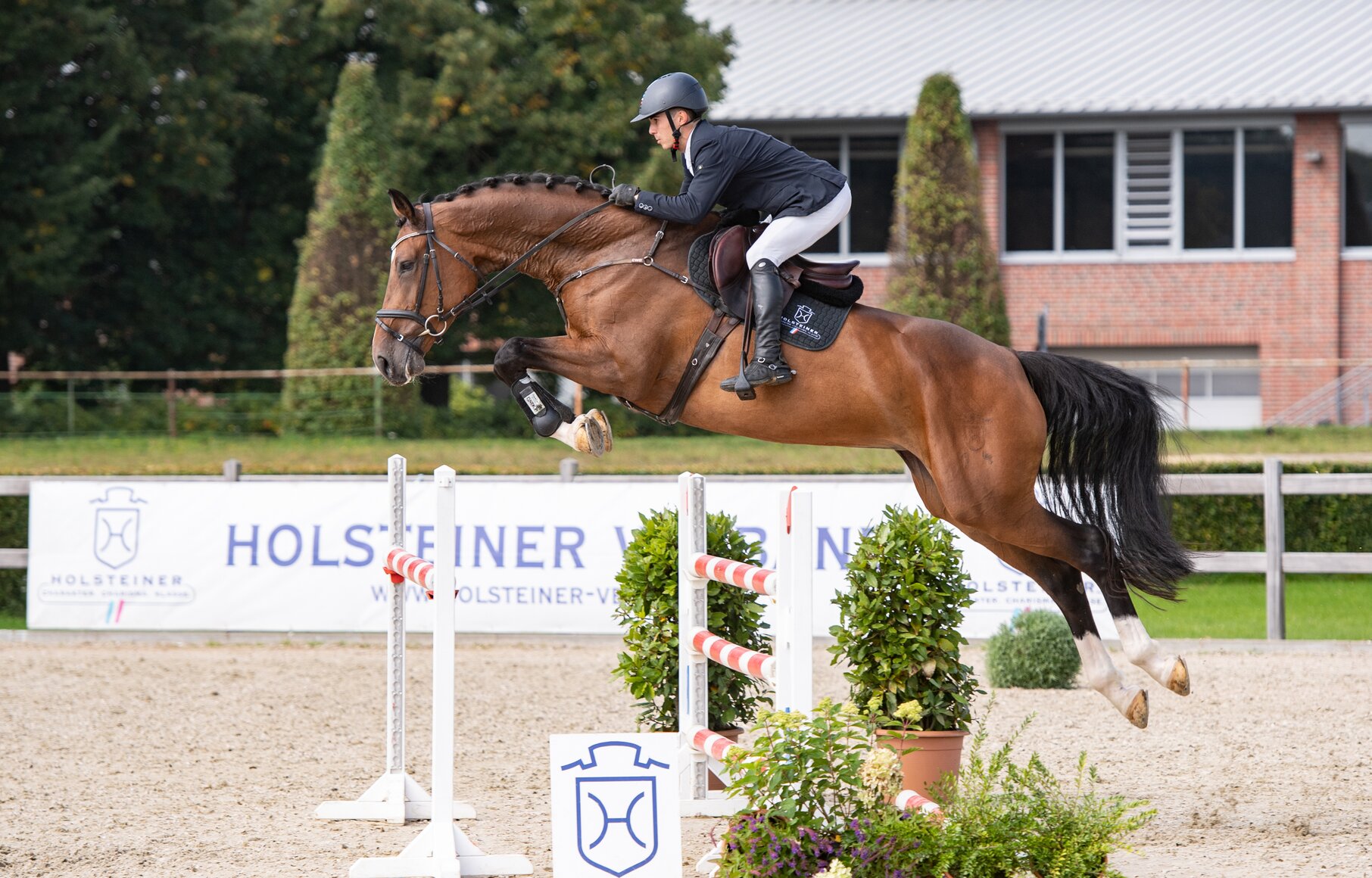 Vermarktung | Holsteiner-Verband