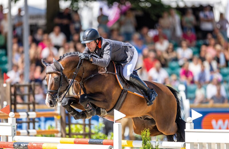 Stallions | Holsteiner-Verband