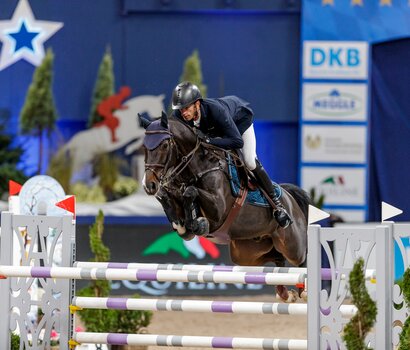 Connor | Holsteiner-Verband