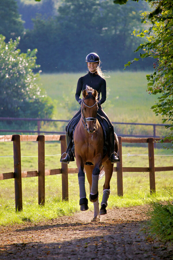 Gemeinsam bis ganz nach oben: Consus und Caroline Locklair | Holsteiner ...